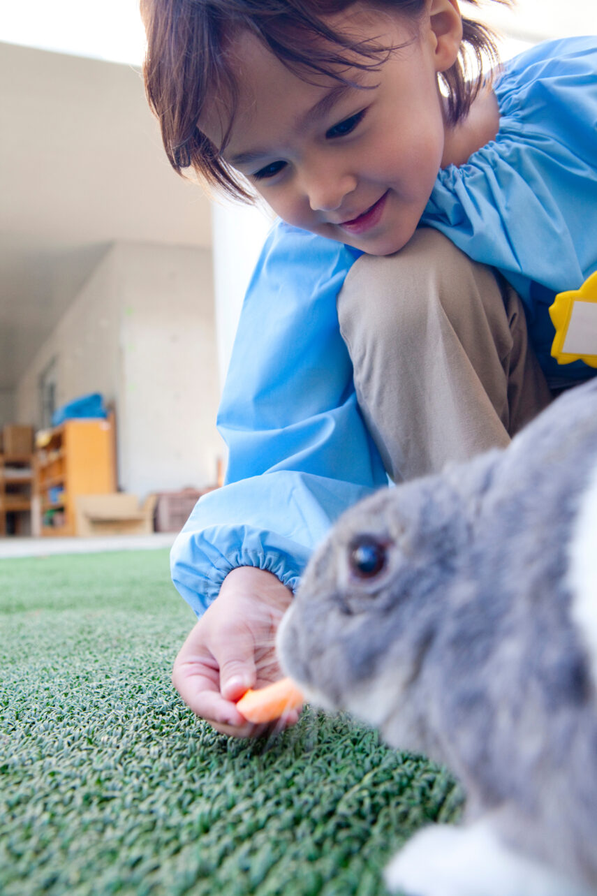 Classroom Pets in Preschool - Preschool.org