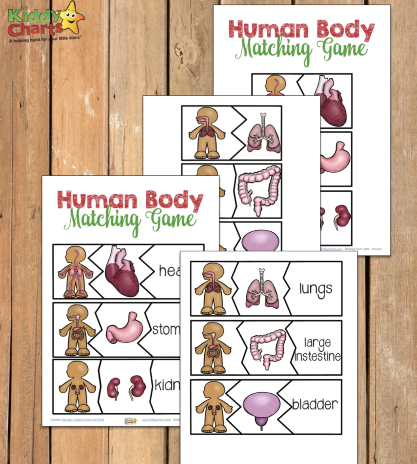 The 5 Best GAMES for ALL ABOUT ME Preschool Theme - Preschool.org