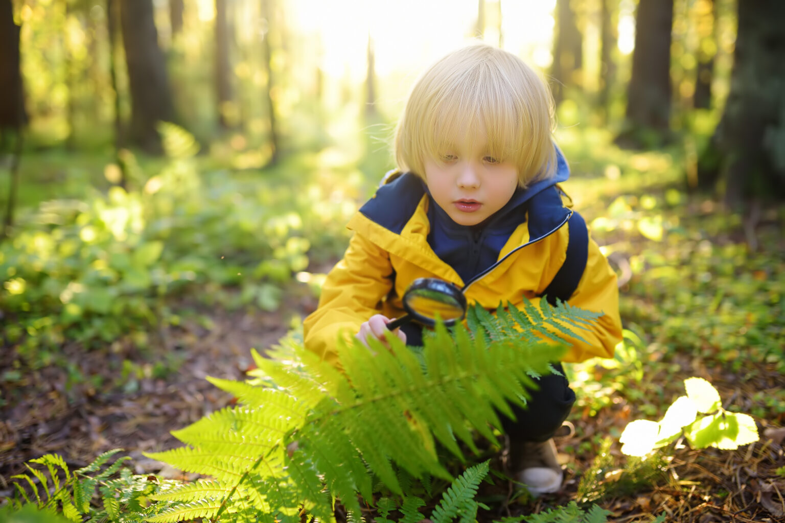 How to Choose a Preschool Curriculum - Preschool.org
