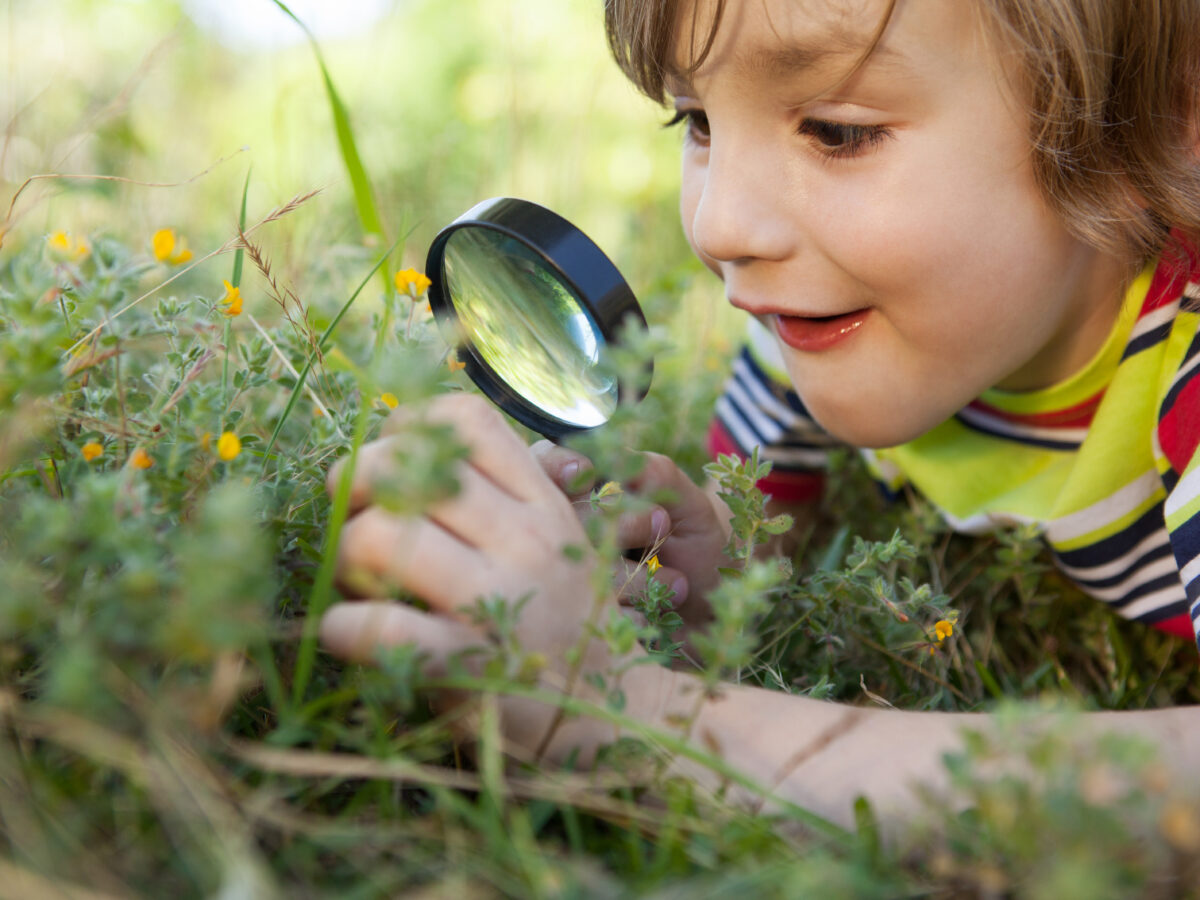 life skills Archives - Preschool.org