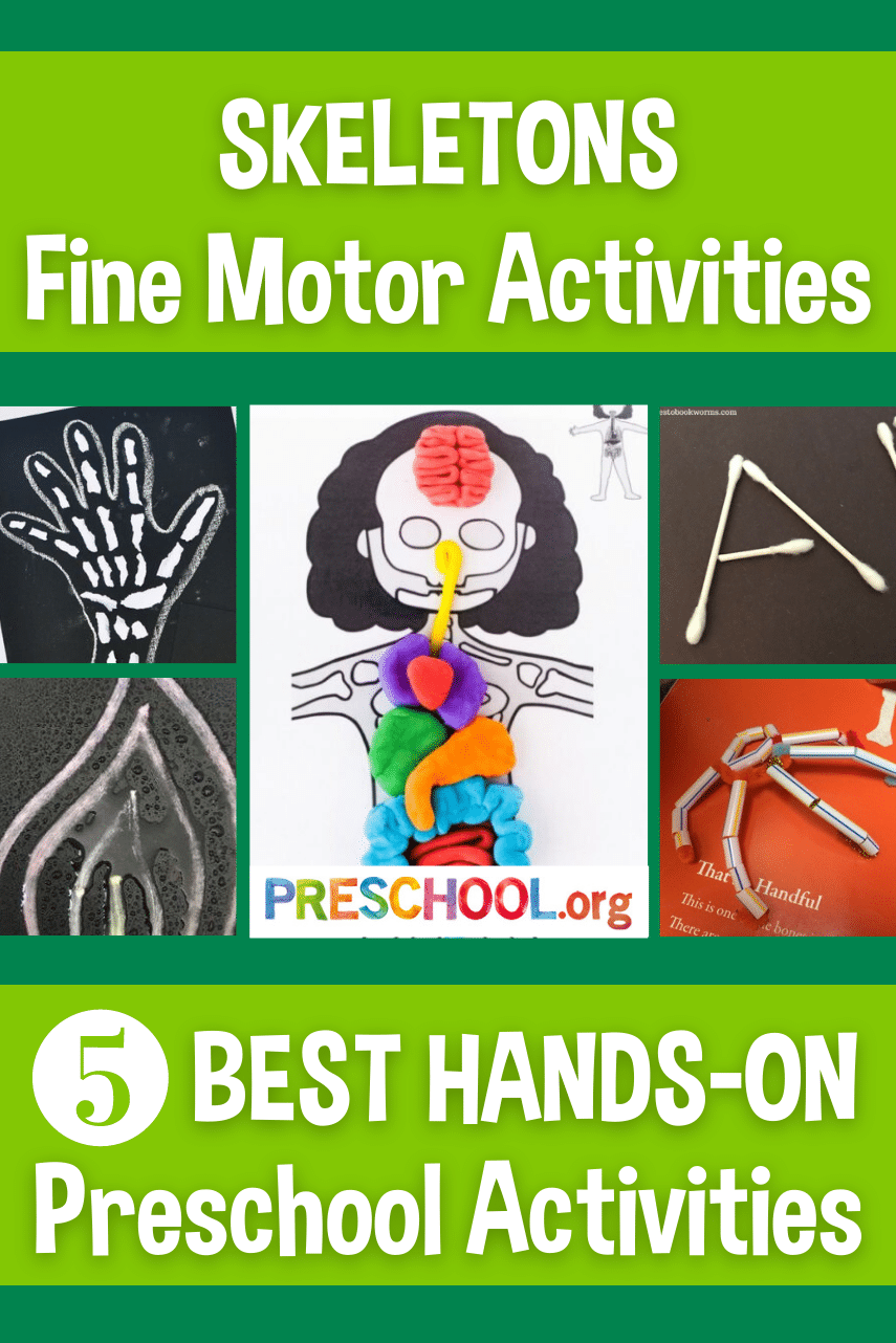 The 5 Best FINE MOTOR Activities for SKELETONS Preschool Theme ...