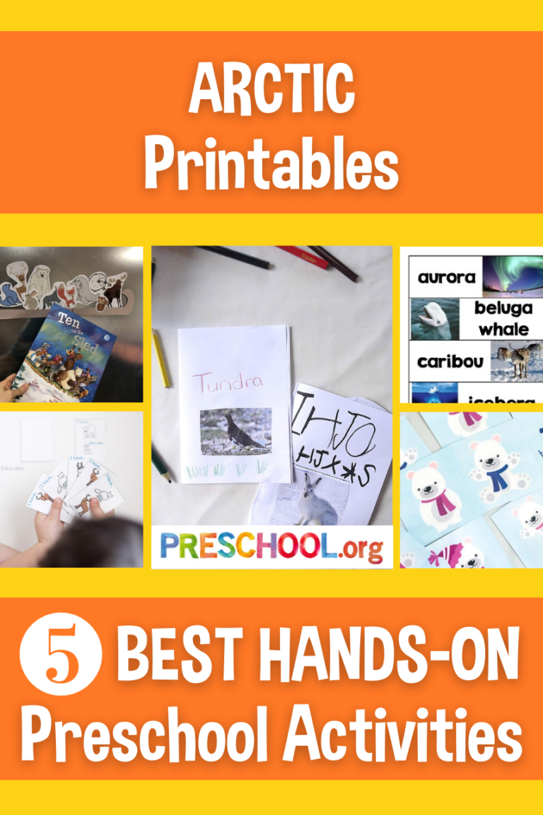 The 50 Best Preschool Activities for ARCTIC Theme - Preschool.org