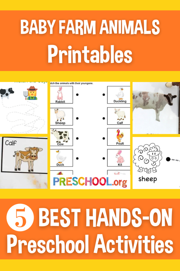 The 5 Best PRINTABLES for BABY FARM ANIMALS Preschool Theme - Preschool.org