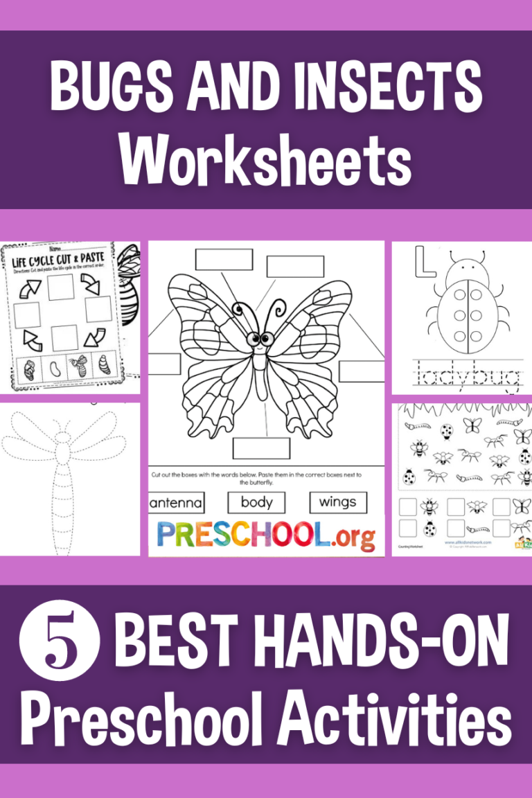 The 50 Best Preschool Activities for BUGS AND INSECTS Theme - Preschool.org