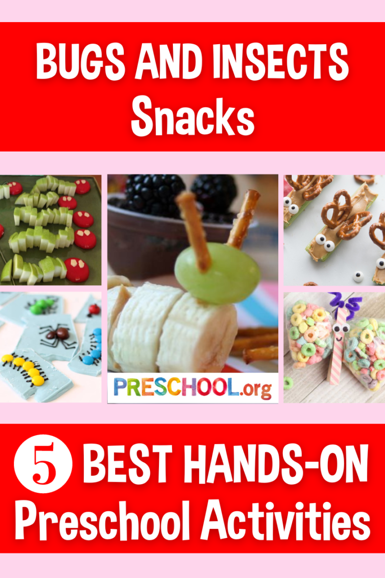 The 50 Best Preschool Activities for BUGS AND INSECTS Theme - Preschool.org