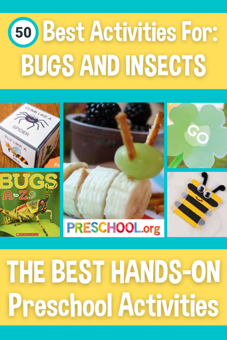 The 50 Best Preschool Activities for BUGS AND INSECTS Theme - Preschool.org