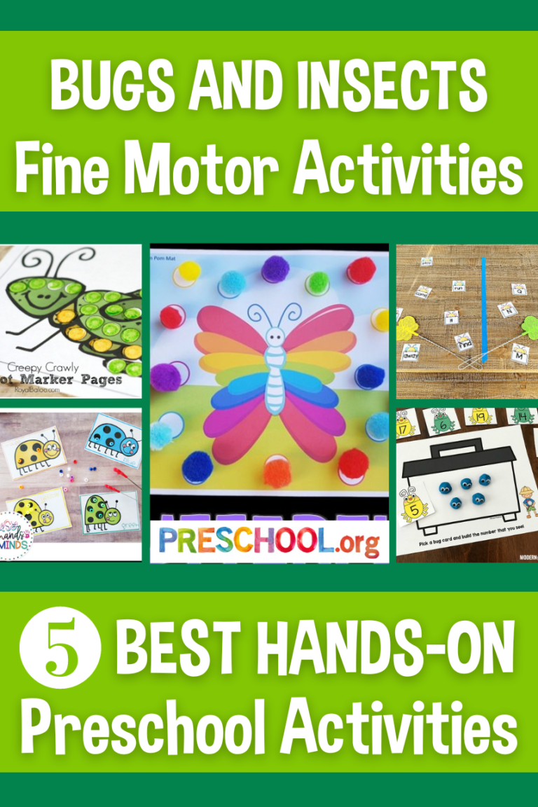 The 5 Best FINE MOTOR Activities for BUGS AND INSECTS Preschool Theme ...