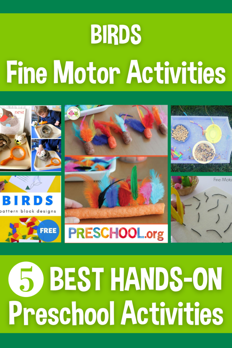 The 50 Best Preschool Activities for Birds Theme - Preschool.org