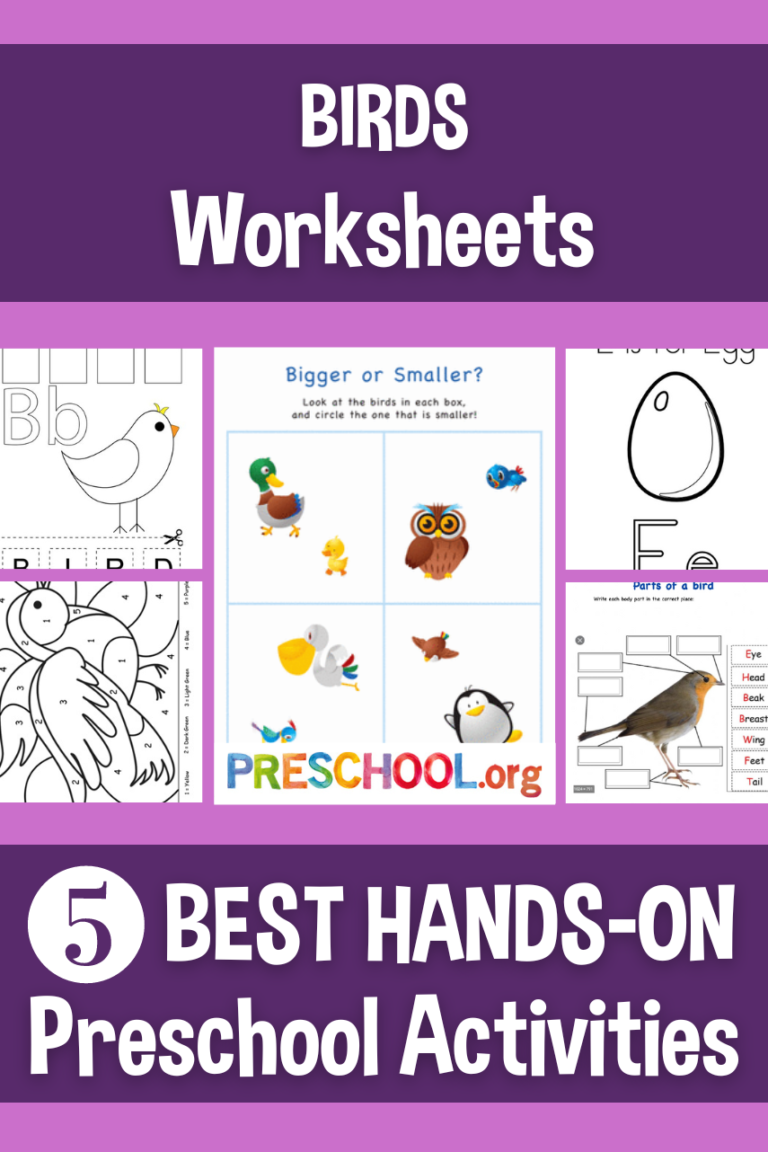 The 50 Best Preschool Activities for Birds Theme - Preschool.org