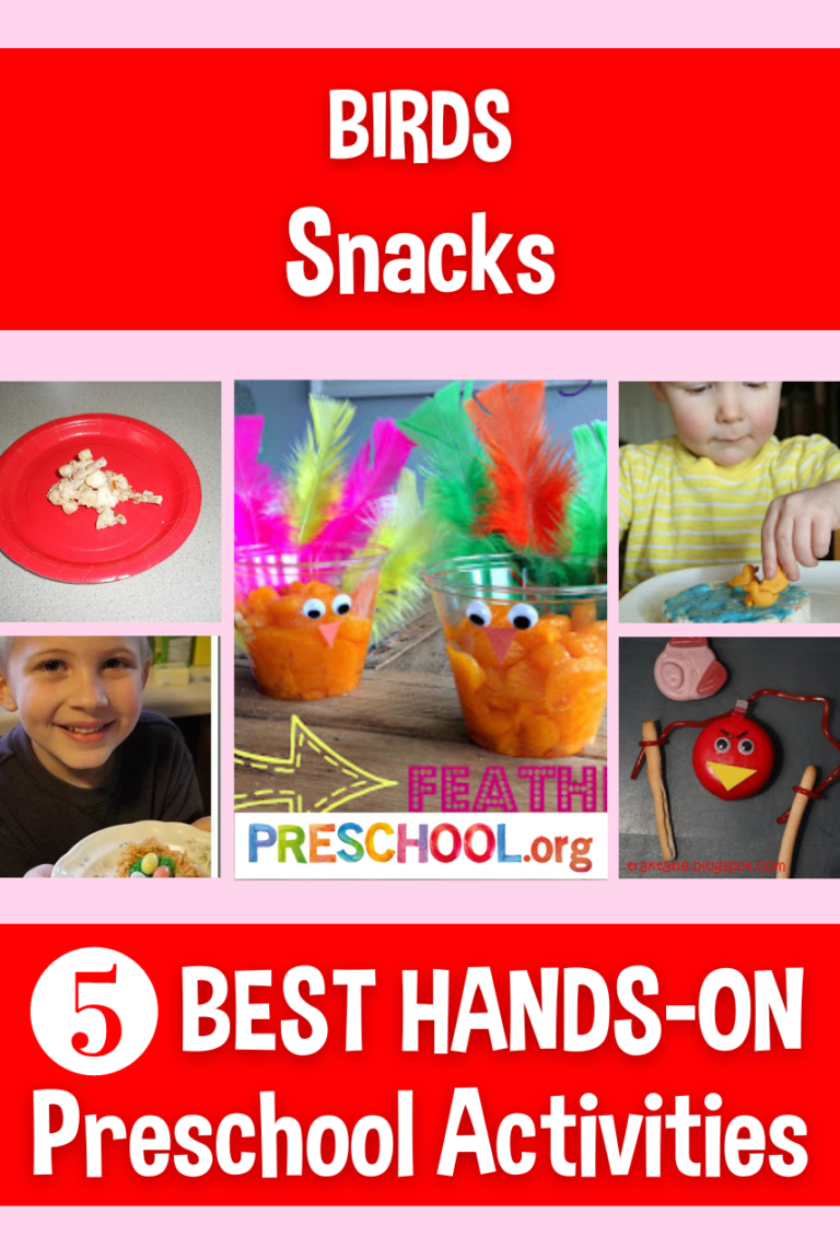 The 50 Best Preschool Activities for Birds Theme - Preschool.org