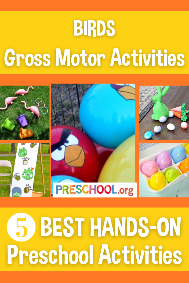 The 5 Best GROSS MOTOR Activities for Birds Preschool Theme - Preschool.org