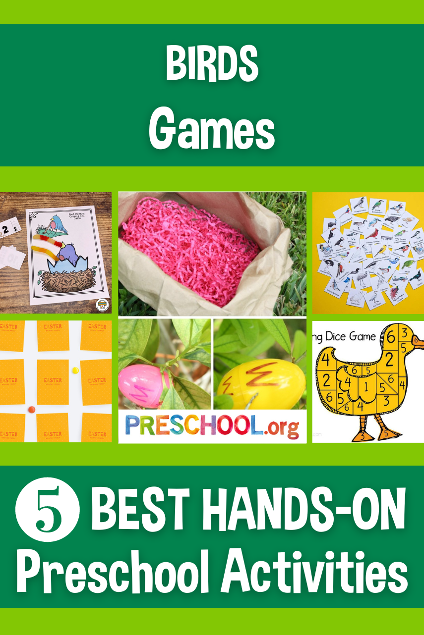 The 5 Best GAMES for Birds Preschool Theme - Preschool.org